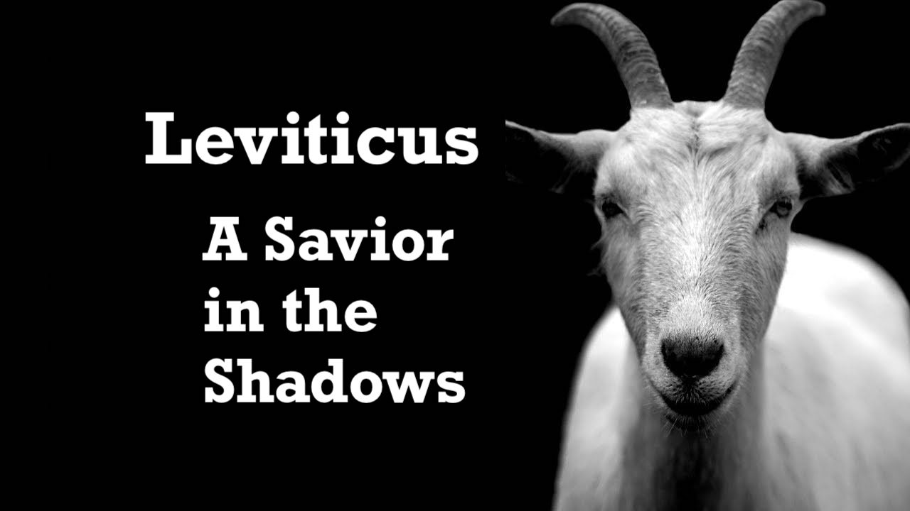 Leviticus - A Savior in the Shadows - Finding Your Way